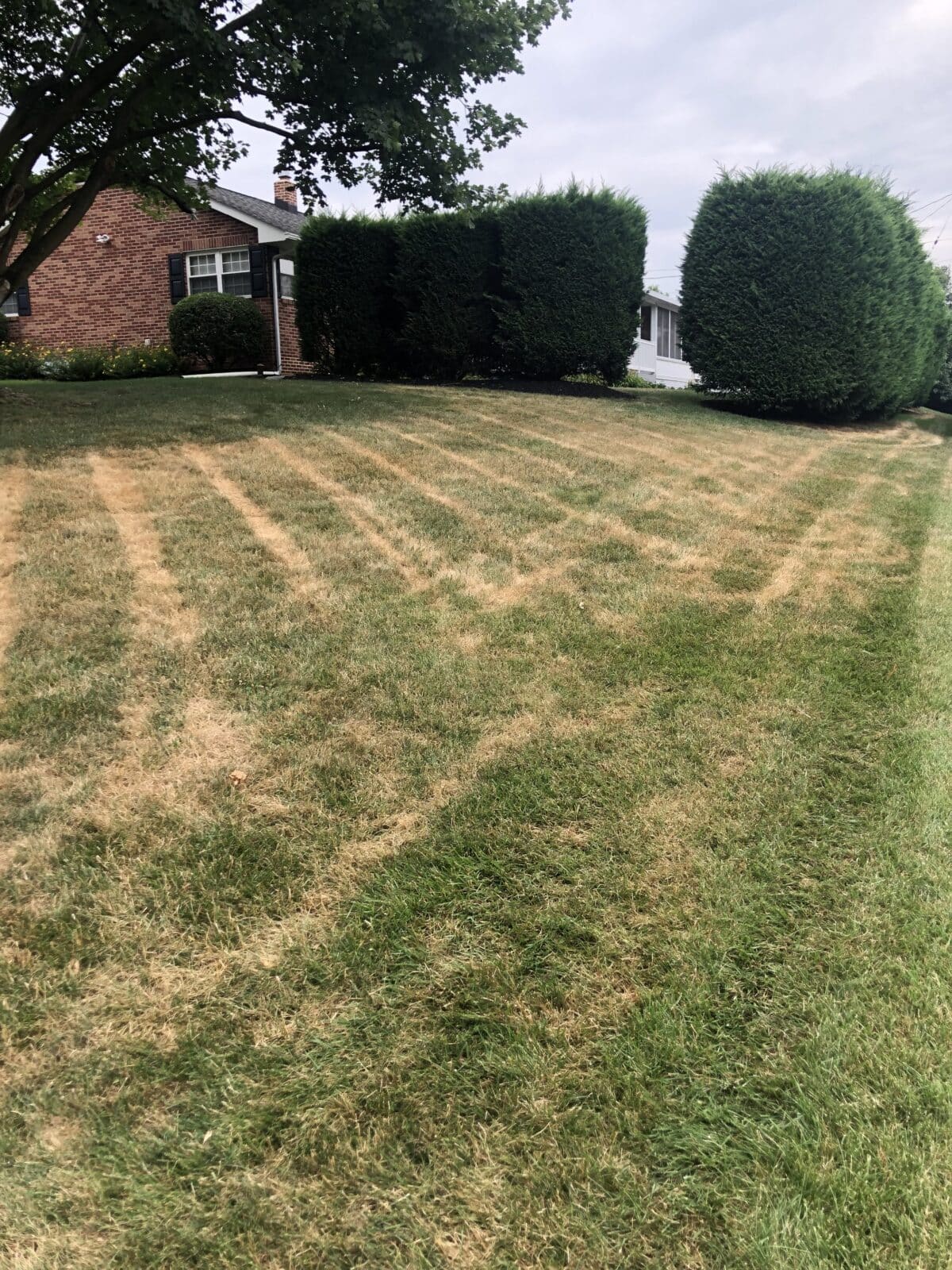 Summer is Approaching... Summer Turf Tips! · Green Image Lawn Care