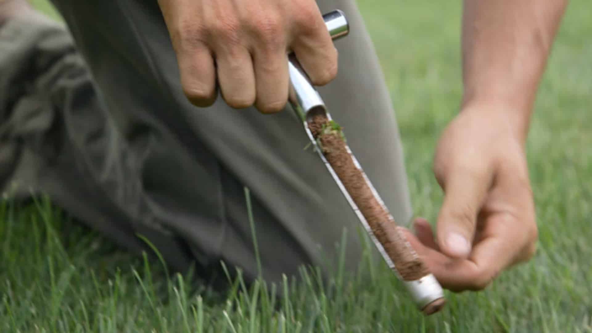 Why is Soil Testing so Important and What Does it Tell Us? · Green ...